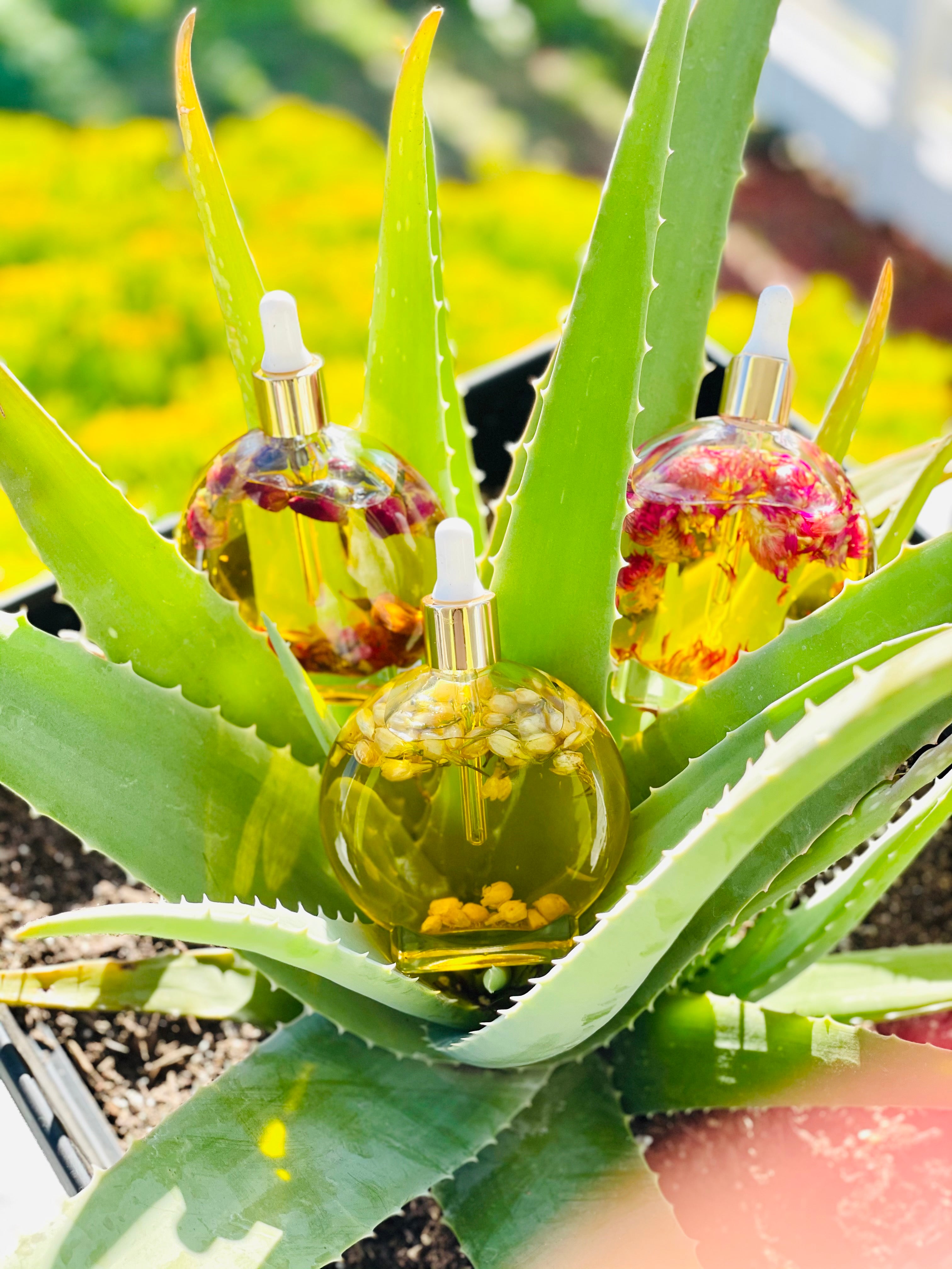 Skin Nourishing Body Oil – Radiant Sol Botanicals